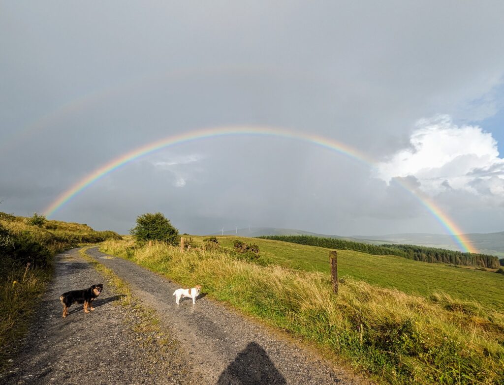 Liam Lynch — Musings on Climate, Life and Sci-Fi TV/Movies
